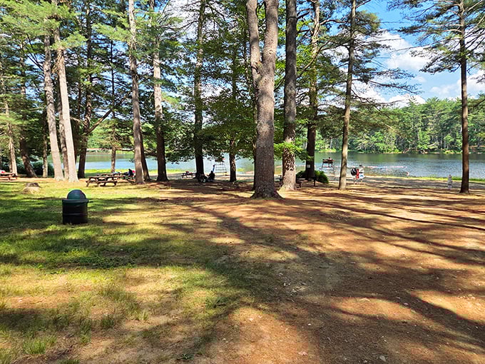 Nature's five-star resort without the room charge. Rutland State Park offers peaceful waterfront relaxation that wealthy vacationers pay thousands to experience.