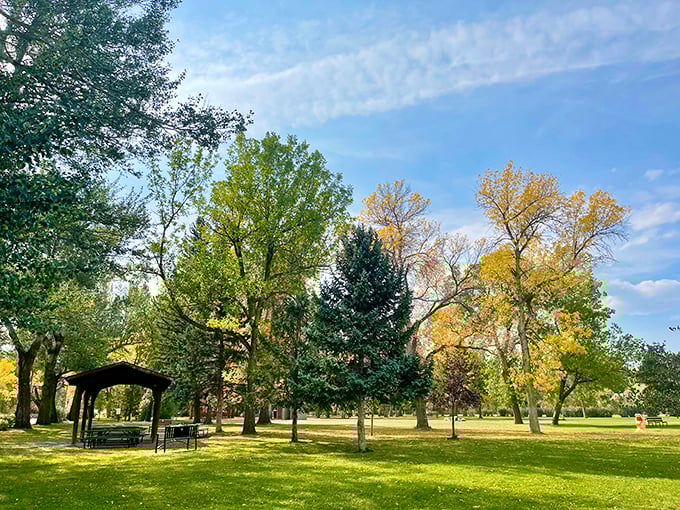 Sacajawea Park offers the kind of greenspace that makes city dwellers question their life choices. Nature's version of a spa day awaits.