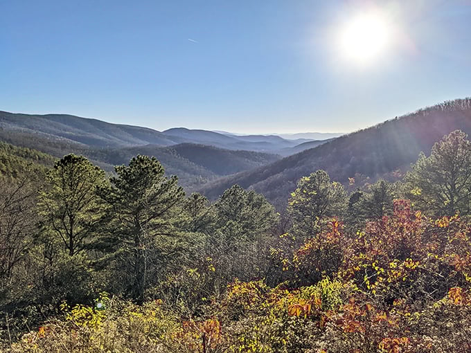 When the Shenandoah Valley unfolds below, even your worries seem to shrink to manageable size.