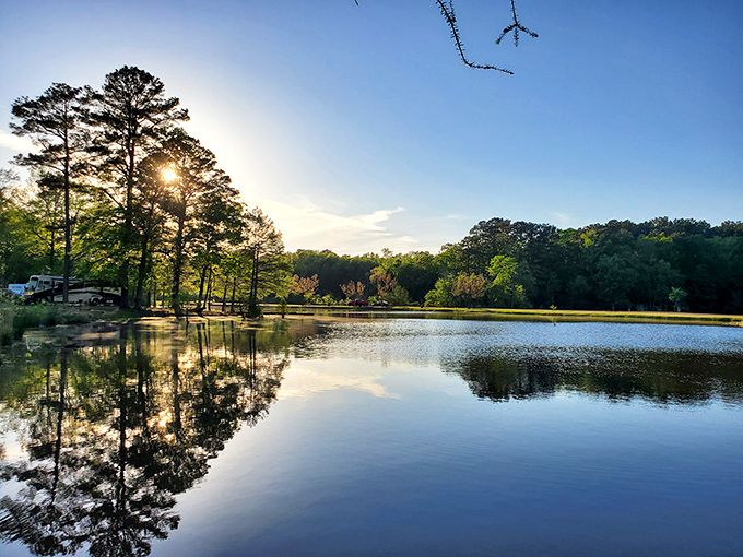 Dawn at White Oak Lake &ndash; that magical moment when the water becomes a mirror, reflecting trees and sky in a display that outshines any high-definition screen.
