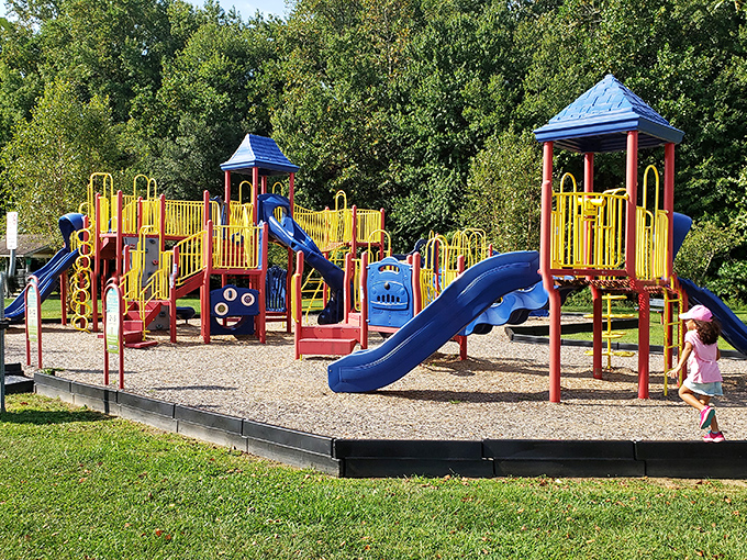 Schutte Park's vibrant playground proves Dover caters to grandkids' visits without emptying grandparents' wallets.