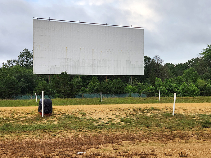 The blank canvas before showtime. This massive screen has witnessed countless first dates, family outings, and summer memories since its inception.