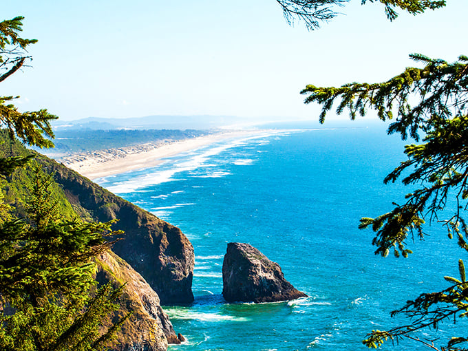 Nature's masterpiece: where forest-covered cliffs plunge dramatically into the Pacific, creating vistas that make smartphone cameras weep with inadequacy.
