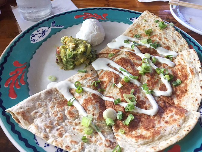 That quesadilla's got more seafood than a maritime census and twice the personality.