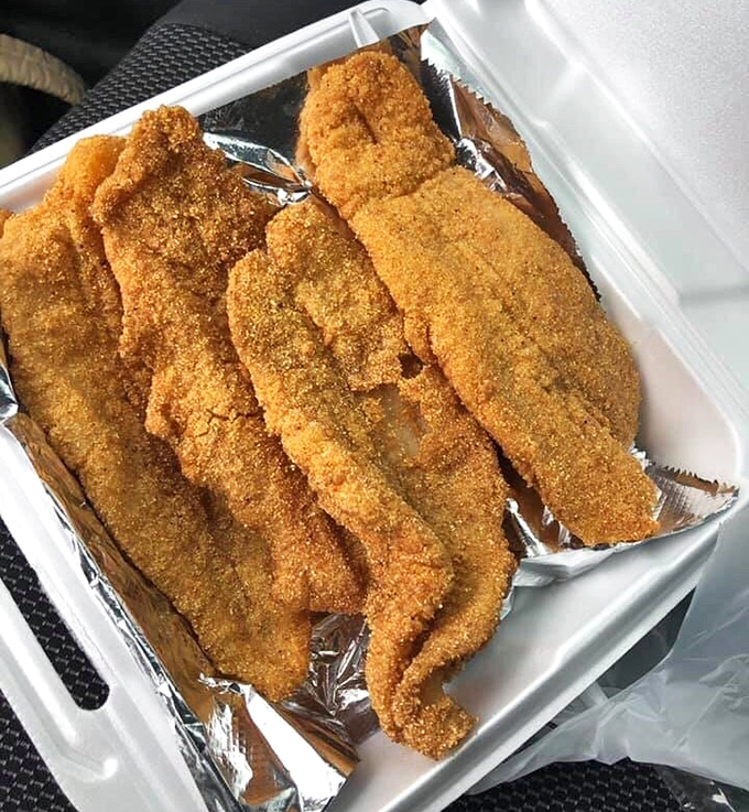 Golden treasures from the fryer&mdash;these cornmeal-crusted fillets are what food dreams are made of, crispy armor protecting tender fish within.
