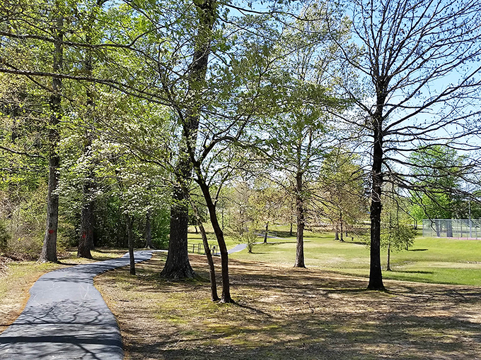 Sheridan's walking trails offer that perfect blend of nature and accessibility – where exercise meets tranquility under a canopy of Arkansas greenery.