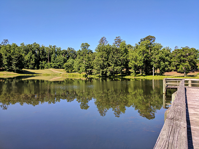 Sherling Lake mirrors the surrounding pines with such perfect clarity, you'd think Mother Nature was showing off her selfie skills.