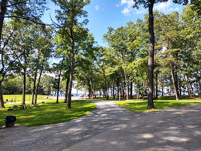 Shikellamy State Park proves that Mother Nature does waterfront property better than any developer. The Susquehanna River view beats anything on HGTV.