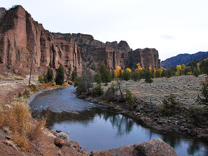 Red canyon walls that would make the Grand Canyon blush with envy. The Shoshone River carved this masterpiece with nothing but patience and time.