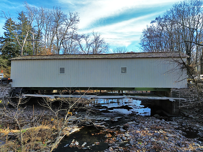 Winter's bare branches frame the bridge in stark beauty, showcasing its timeless silhouette against the landscape.