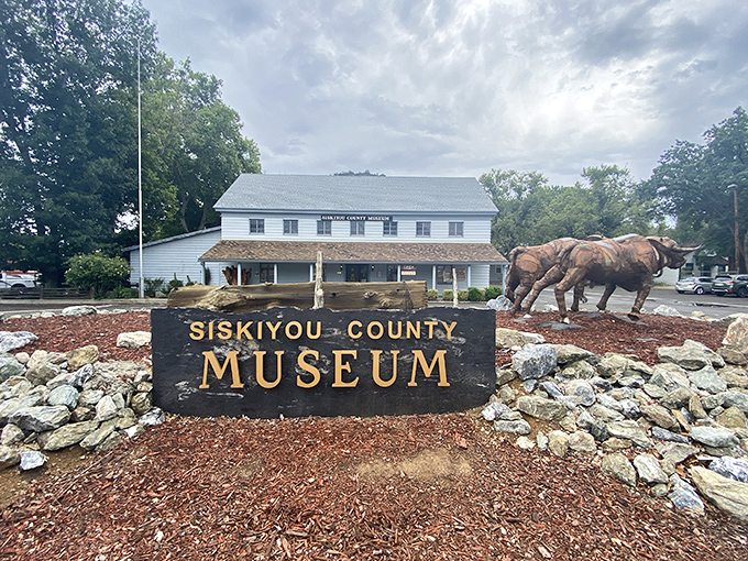 The Siskiyou County Museum announces itself with horse-drawn swagger, preserving stories of a time when "horsepower" wasn't just a car spec.