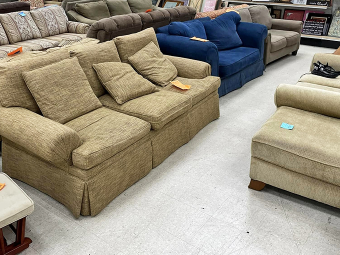 Sofa safari at its finest! From neutral tans to bold blues, these pre-loved couches have stories to tell and naps yet to host.