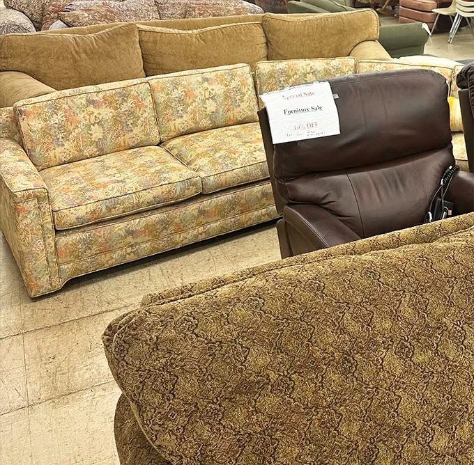 Sofa safari at its finest! These floral and textured couches have stories to tell, just waiting for your living room's next chapter.