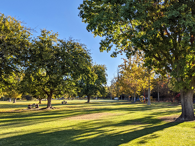 Beneath Ojai's ancient oaks, time stretches like afternoon shadows across the grass&mdash;nature's invitation to kick off your shoes and stay awhile.