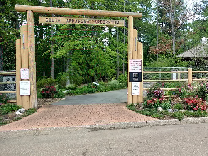 Nature's welcome mat unfurls at the South Arkansas Arboretum, where wooden gates frame a path that practically whispers, "Come in and forget your to-do list."
