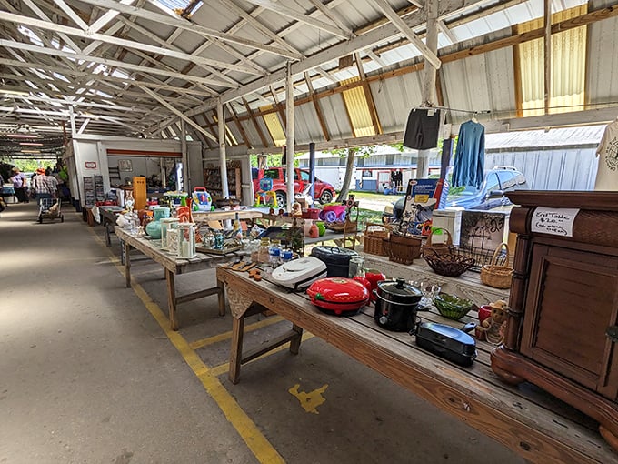 Kitchen gadgets, household items, and unexpected finds line these tables—a domestic archaeologist's dream dig site.