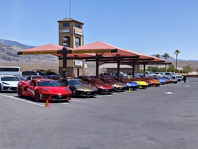 Exotic cars bask in the desert sun at Spring Mountain Motor Resort. Where else can you see Ferrari red pop against mountain purple?