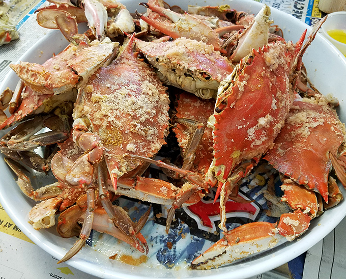 Behold the mountain of crustacean glory that makes grown adults cancel their afternoon plans and roll up their sleeves.