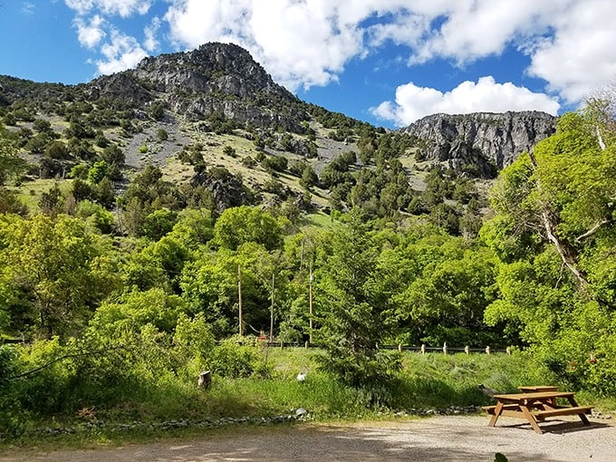 Mother Nature showing off again in Logan Canyon, where rugged mountains meet verdant valleys and picnic tables offer front-row seats to the spectacle.