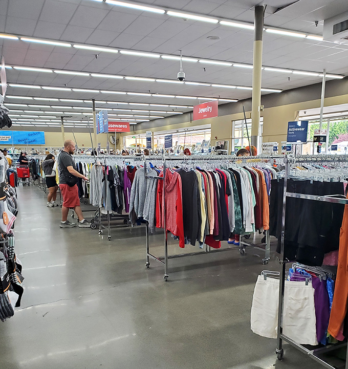 Serious thrifters navigate the clothing racks with practiced efficiency, eyes scanning for that elusive designer label hiding among the everyday.