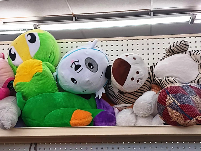 Stuffed animal adoption center or childhood memory lane? Either way, these plush pals are looking for their forever homes.