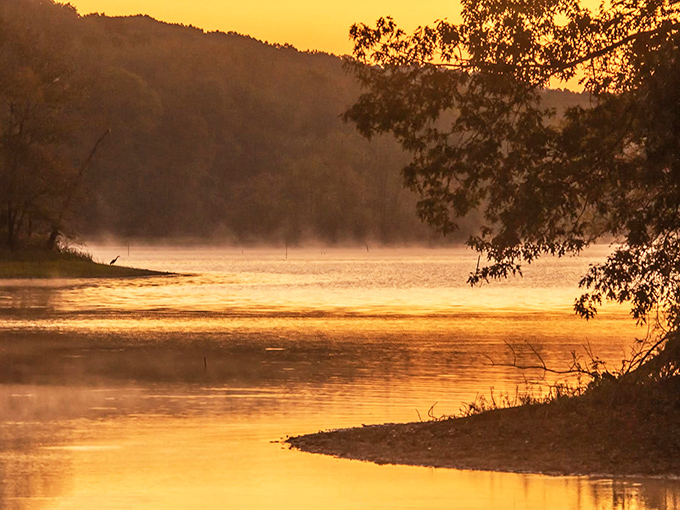 Golden hour transforms the water into liquid amber, while morning mist rises like nature's own special effect &ndash; no CGI required here.