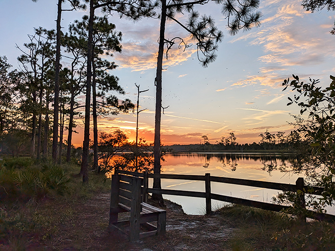 Nature's version of Netflix and chill: a wooden bench, a Florida sunset, and absolutely zero notifications to interrupt the show.