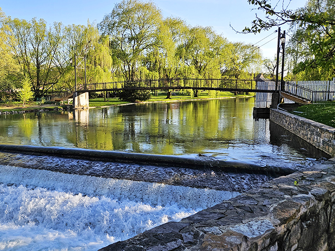 Talleyrand Park's peaceful waters reflect weeping willows and blue skies, creating a tranquil oasis where time seems to slow down just for you.