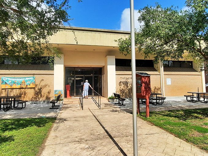 The Taylor County Public Library isn't just about books&mdash;it's a community hub where retirees gather for free programs, internet access, and conversations that don't require monthly subscription fees.