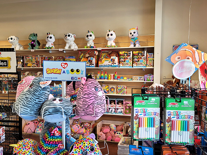 A toy store wonderland where kids' eyes grow wider than their parents' wallets. Those stuffed animals are practically begging for adoption.