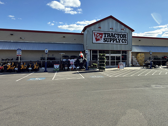 The Tractor Supply Co. isn't just a store&mdash;it's a cultural institution where farmers, hobbyists, and curious city slickers converge in rural America.