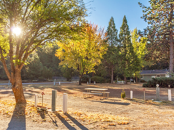 Golden hour transforms this simple park into something magical &ndash; those picnic tables have front-row seats to paradise.