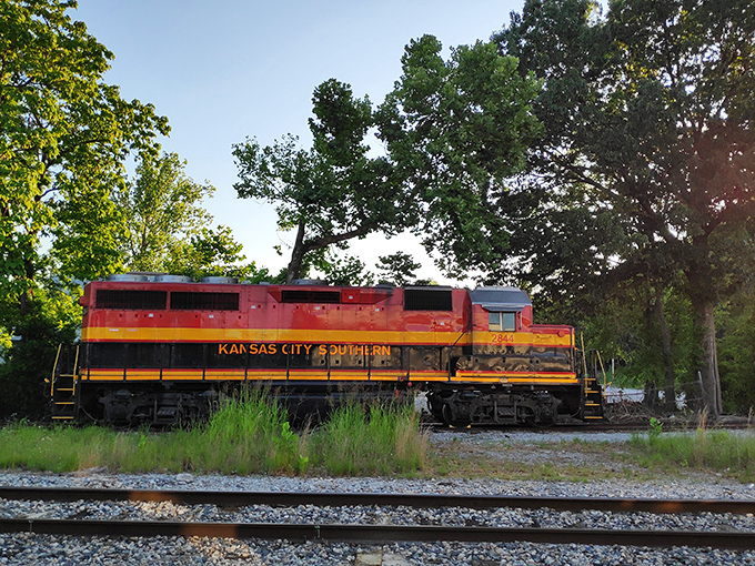 Local parks offer free entertainment and fresh air, two commodities that somehow remain wonderfully affordable in any economy.