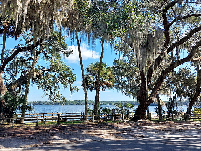 Lake views framed by Spanish moss-draped oaks &ndash; Mother Nature's version of a perfect retirement postcard. No filter needed! 