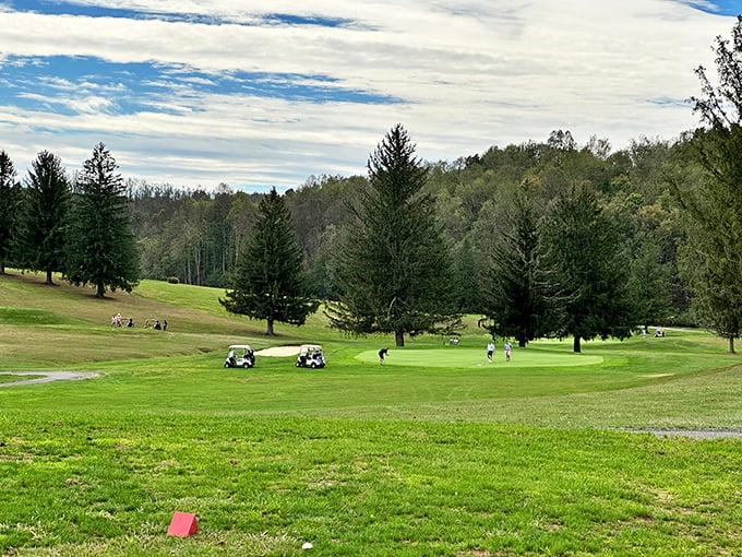 Who needs expensive country club memberships? Tygart Lake Public Golf Course offers retirees affordable tee times amid Appalachian splendor that rivals courses charging triple the greens fees.