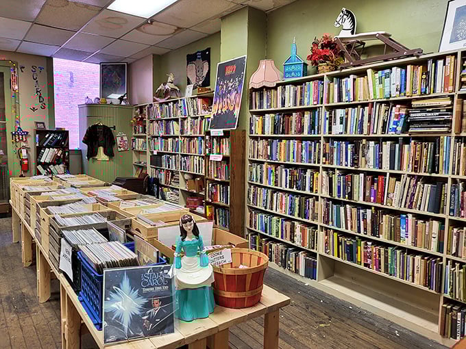 Literary heaven meets vinyl paradise. The only place where both your bookshelf and record collection can experience serious FOMO simultaneously.