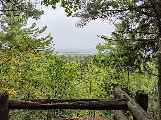 A vista that makes you feel like you've wandered into a Bob Ross painting. "Happy little trees" frame this peaceful overlook.