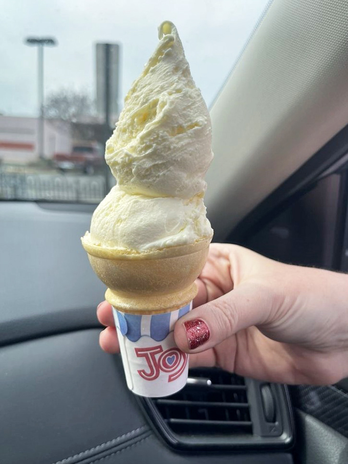 Architectural perfection: a vanilla custard cone sculpted with the precision of a Renaissance masterpiece. Michelangelo would have traded his chisel for this.