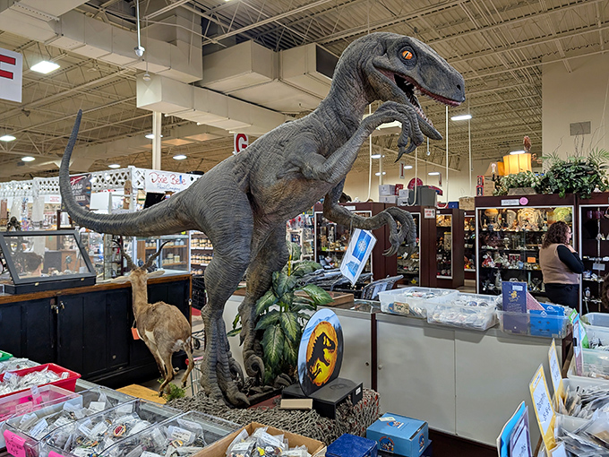 Life, uh, finds a way&mdash;especially when it's a life-sized velociraptor guarding vintage collectibles like the world's coolest museum security.