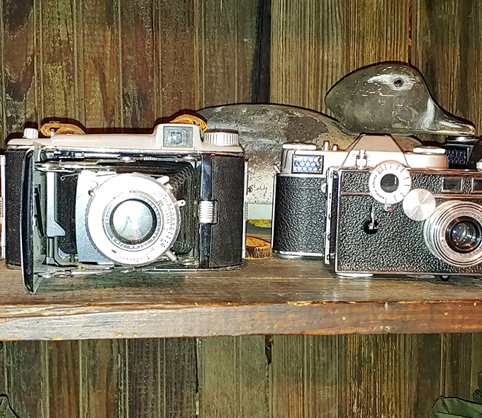 These vintage cameras once captured someone's precious memories. Now they're waiting for a second act, perhaps as conversation pieces in a modern home office.