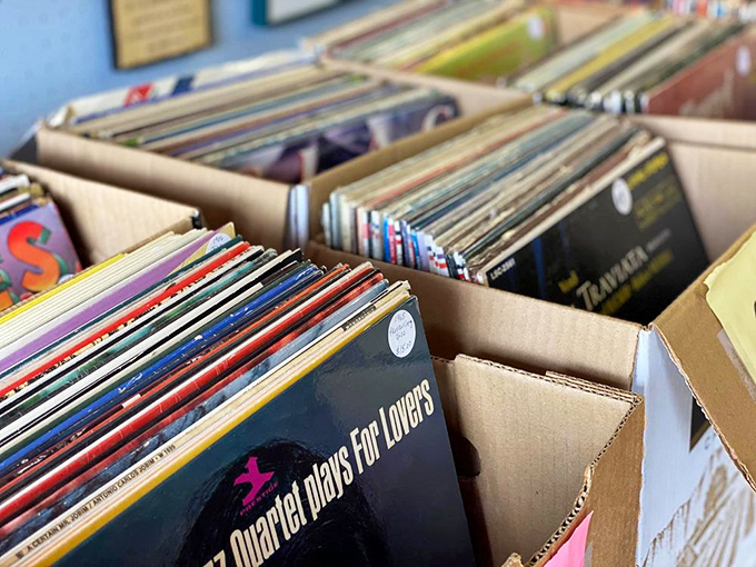 Vinyl heaven awaits the patient digger. Each cardboard box holds potential soundtrack moments your Spotify playlist could never replicate.