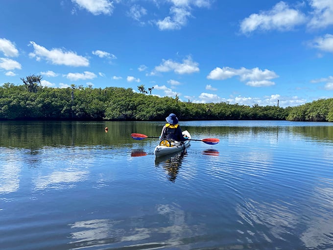 Gliding through mirror-like waters, this kayaker has discovered the ultimate Florida traffic-free commute. No honking, just herons.