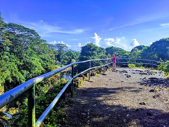 The viewing platform puts you front and center for the show, and trust me, this performance never gets old.