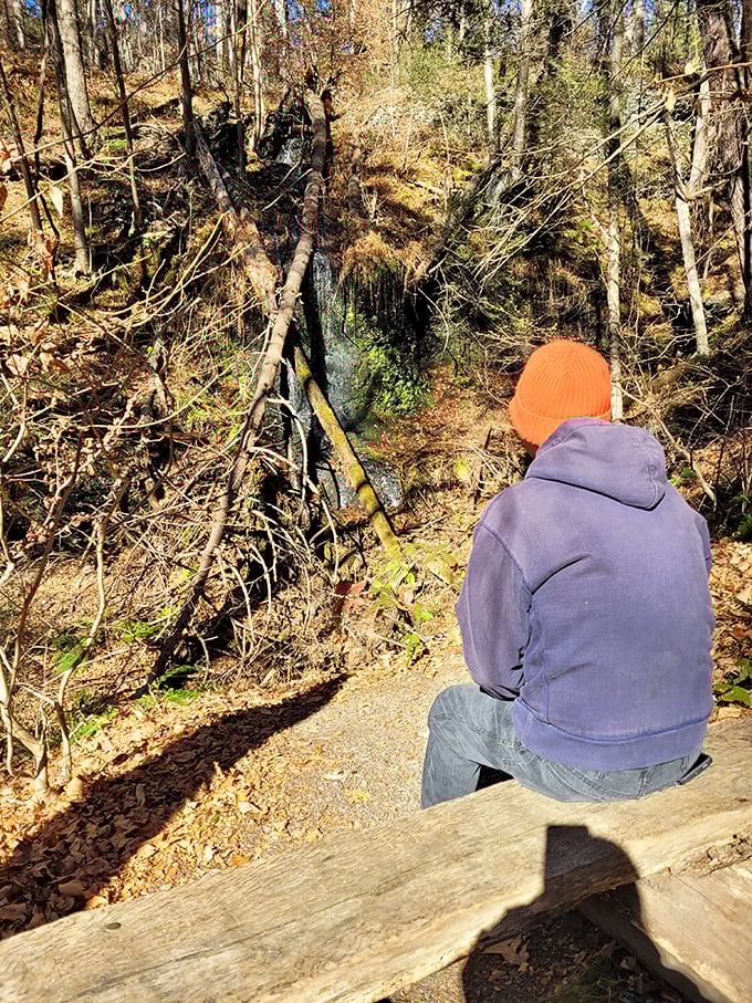 Contemplation comes naturally when perched before such beauty. Even in autumn's golden embrace, the falls command quiet reverence.