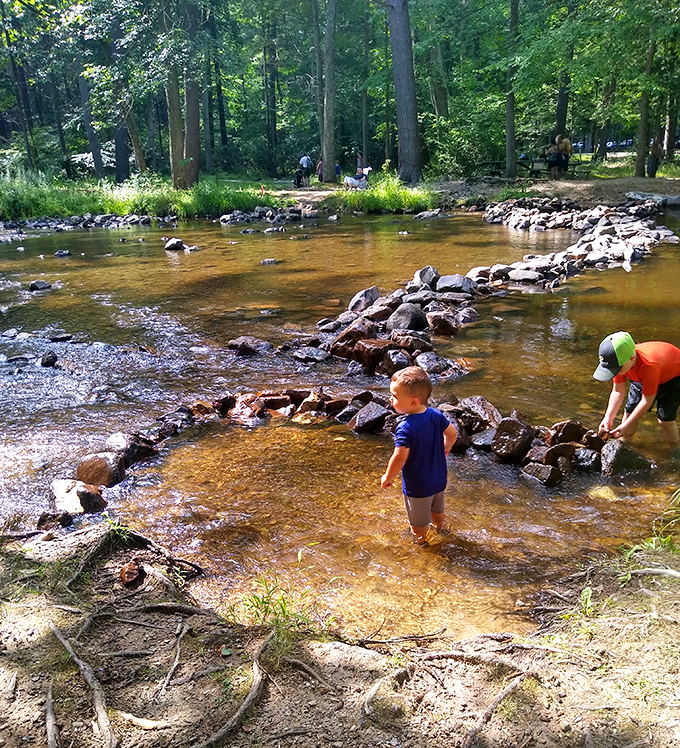 Childhood wonder in its purest form. Nothing beats the simple joy of rock-hopping across a sun-dappled stream on a perfect summer day.