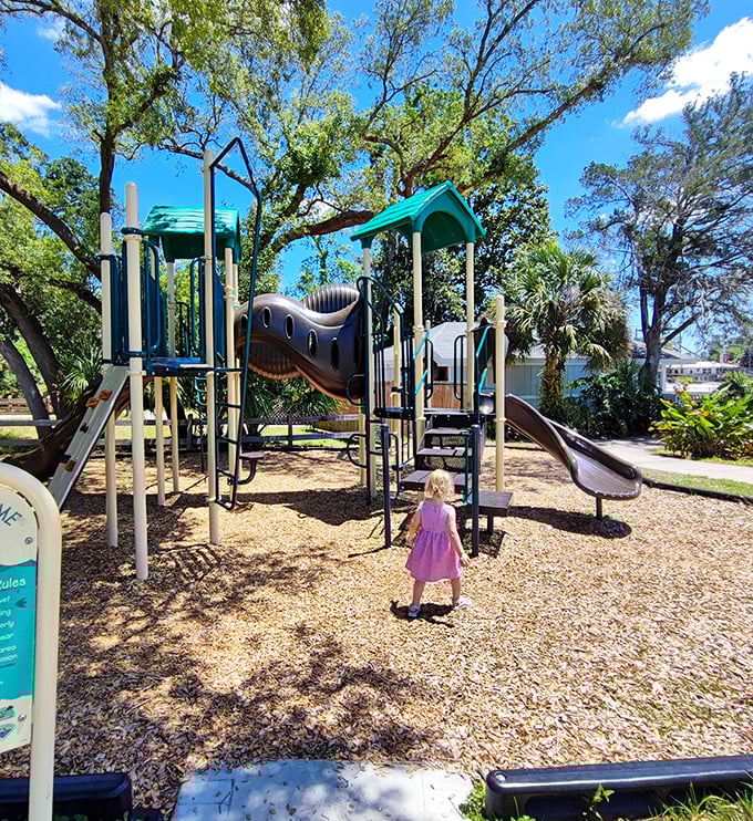 Little explorers find their own adventure on the shaded playground. While mermaids may be the headliners, the park thoughtfully provides entertainment for landlubbers of all ages.