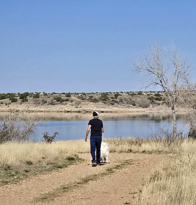 Sometimes the best hiking companion has four legs and doesn't care about checking their phone constantly.