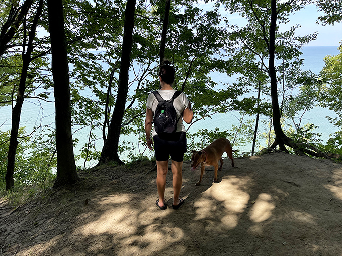 The ultimate viewpoint: where forest meets Great Lake in a scene that no smartphone camera can truly capture.