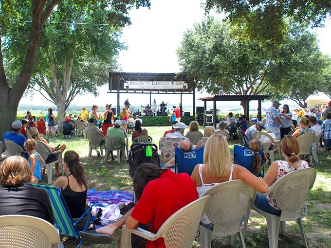 Wine and music&mdash;civilization's greatest hits&mdash;come together under shade trees as festival-goers prove Florida knows how to afternoon properly.