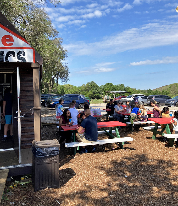 Weekend warriors of the berry-picking variety gather at picnic tables, comparing their crimson bounty while creating memories sweeter than their haul.